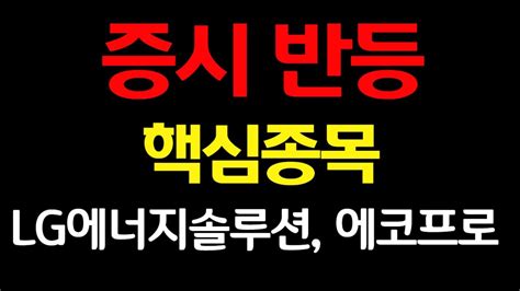 증시 반등 핵심종목과 손실 회복 방법 Lg에너지솔루션 에코프로 에코프로비엠 포스코퓨처엠 포스코인터내셔널