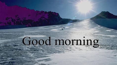 Endodontic Irrigant Classification Pdf