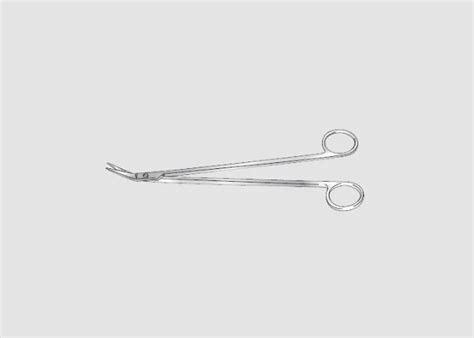Potts Demartel Cardiovascular Scissors Medic Instrument