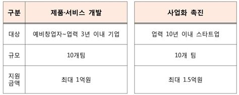 유망 Ai헬스케어 스타트업 발굴 프로그램 공모 플래텀