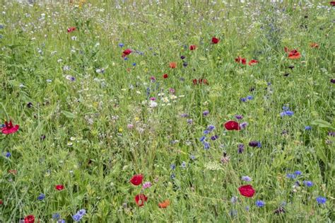 Logistics Optimization Interview Questions And Answers