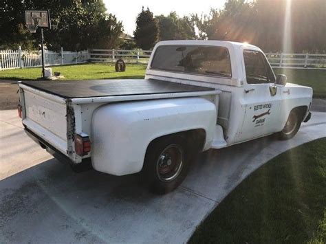 1976 Chevy C 10 For Sale