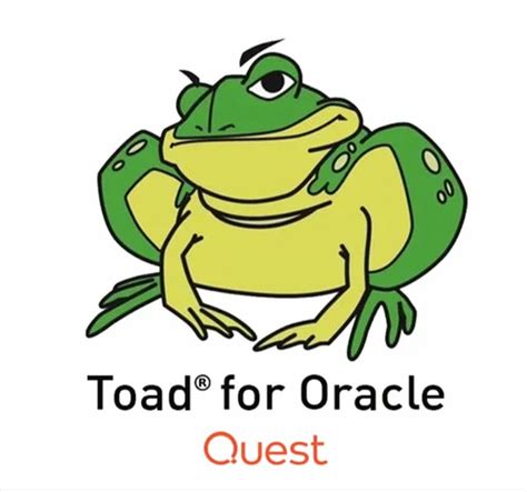 Toad For Oracle Software At ₹ 100000piece Oracle Virtualbox In Thane