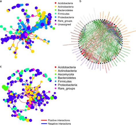 Visualization of microbial community co-occurrence network properties... | Download Scientific ...