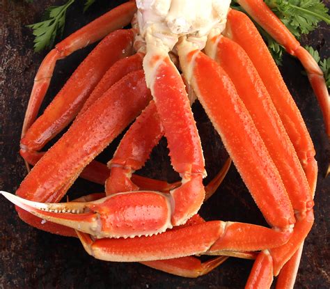 Shellfish Seafood United