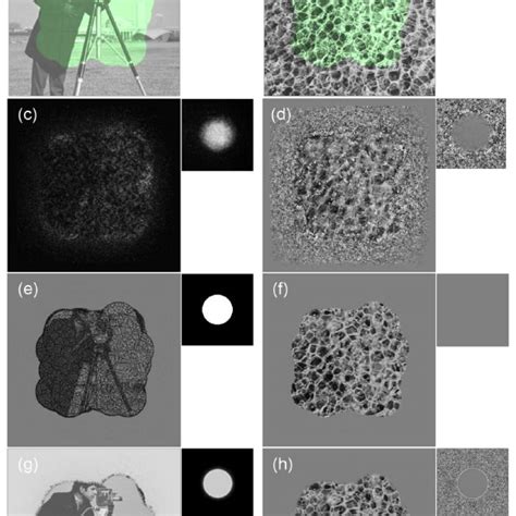 Comparison Of Reconstruction Quality With Or Without Position Download Scientific Diagram