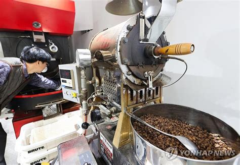 10년 뒤에도 지금처럼 커피 마실 수 있을까원두값 급등·생산량 감소 커피산업의 미래는 지식人 지식in