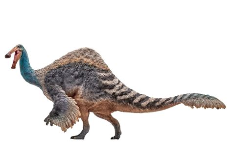 Deinocheirus By Pnso Dans Dinosaurs