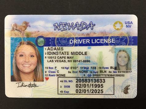Nevada Fake Id Nevada Drivers License