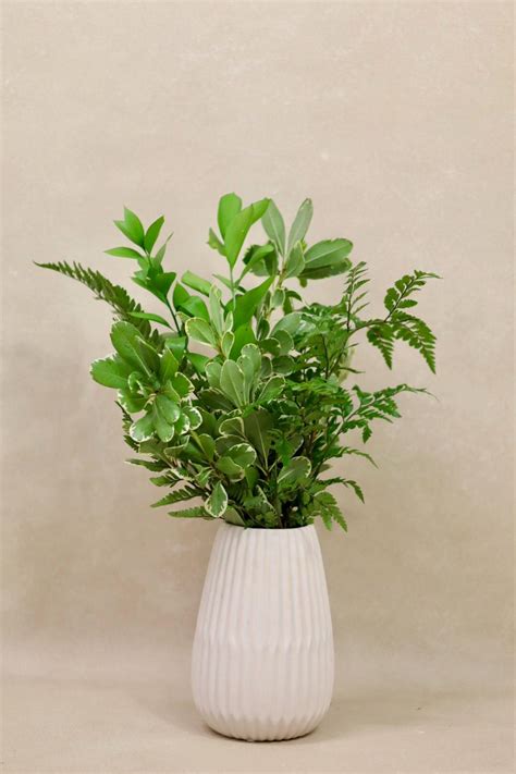 Variegated Pitt Mix Drop In Foliage Bouquet Fresh Greenery For