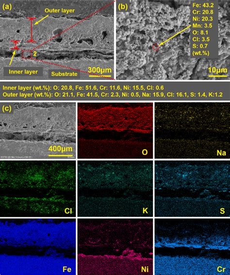 Cross Sectional Corrosion Micromorphology And Eds Analysis Results