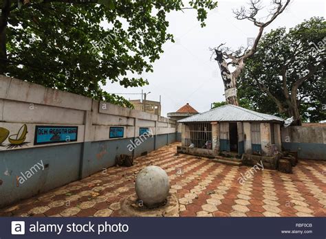 Royal Python Temple Temple Des Pythons In Ouidah Benin Africa Stock