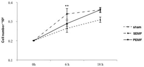 Ijms Free Full Text Human Gingival Fibroblasts Exposed To Extremely Low Frequency