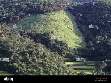 Shifting Cultivation Diagram