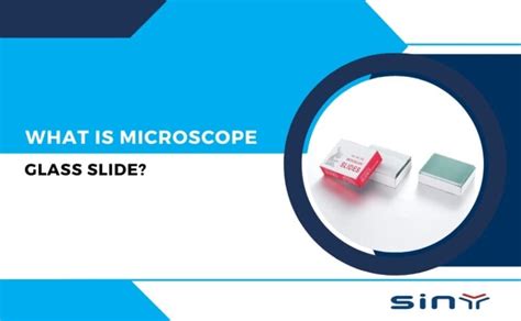 Guide To Microscope Glass Slides Types And Uses