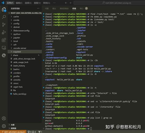 【书生大模型训练营 入门岛】 linux篇 知乎
