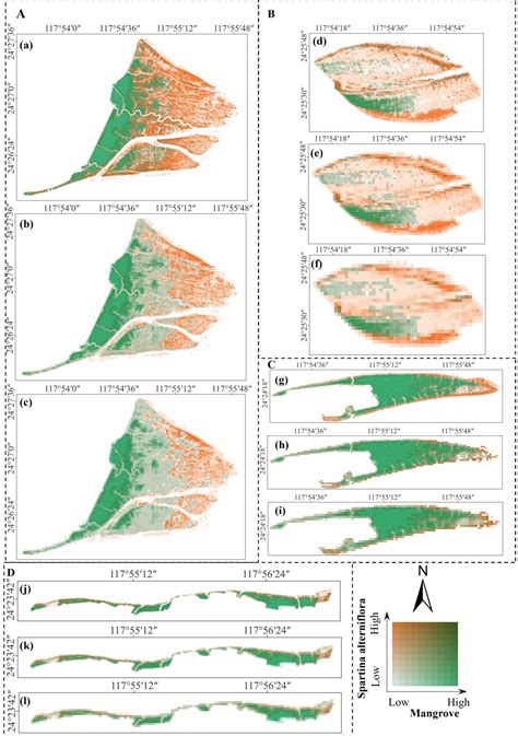 我所海洋保护生态学团队在红树林面对互花米草入侵的风险识别研究中取得新进展 海洋三所