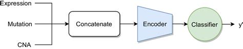 schematic architecture of early integration with three input omics