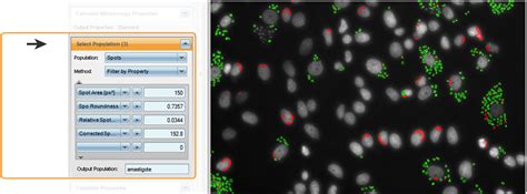 Cell Press Star Protocols