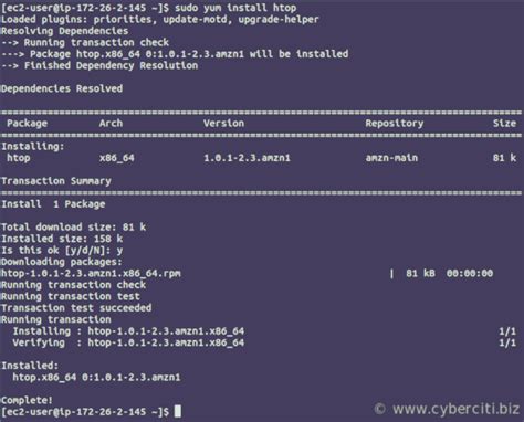 How To Install Htop On Amazon Linux Ami Nixcraft