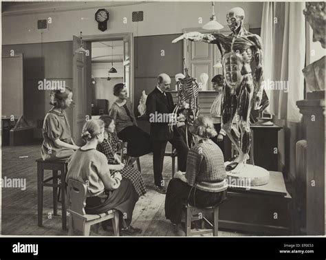 Classe D Anatomie Banque De Photographies Et D Images à Haute