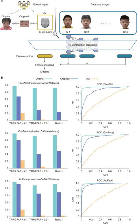 validation of the dm using ai powered re identification algorithms a
