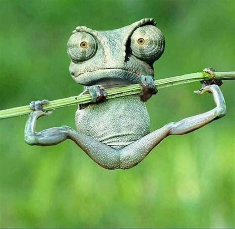 When Youre Ugly And Horny 9gag