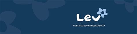 Lev Linkedin