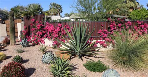 19 Effortless Desert Landscaping Ideas For A Stunning Low Maintenance Yard