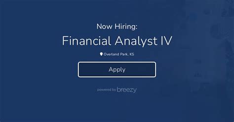 Financial Analyst Iv At Datamap