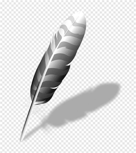 Wing Ide Integrated Development Environment Python Computer Software Eric Raspberry Monochrome