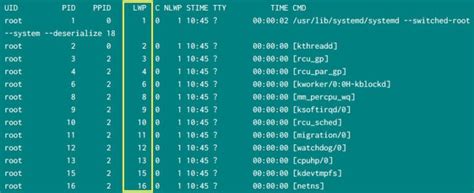 Practical Examples To List Running Processes In Linux GoLinuxCloud