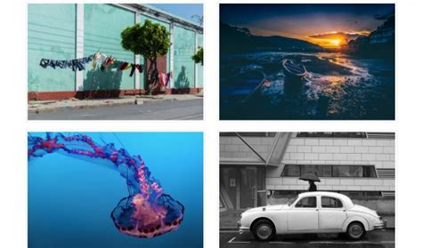 17 bootstrap photo gallery code examples onaircode