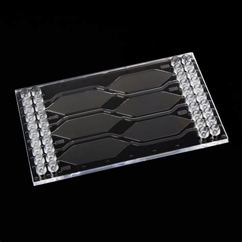 Rhombic Chamber Double Slide 100 µm To 300 µm Chamber Height
