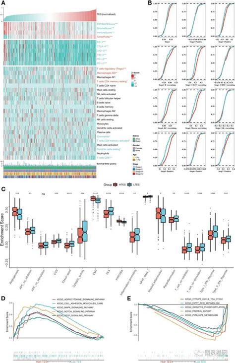 Ai 单细胞轨迹分析结肠癌t细胞耗竭 知乎