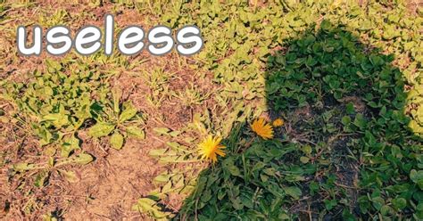 「useless」｜maccy