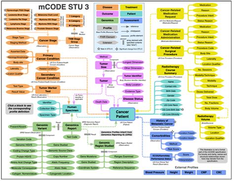 Essential Insights For Implementing Minimal Common Oncology Data