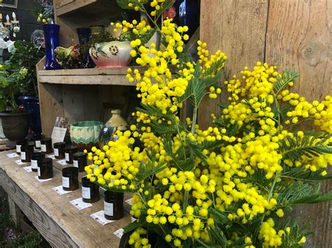 パリ最新情報「パリと蘭の素敵な関係、『千と一輪の蘭の花』。パリ植物園に春がやってきた！」 Design Stories