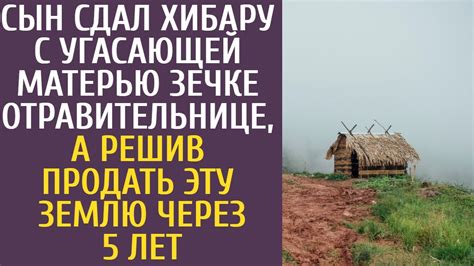 Сын сдал хибару с угасающей матерью зечке отравительнице а решив продать эту землю через 5 лет