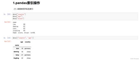 Pandas 基础学习1pandas 1x证书基础学习 Csdn博客