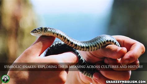 Snake Symbolism Types Mystical Meanings Of Serpents