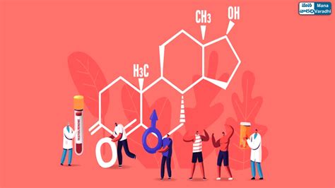 Testosterone టెస్టోస్టిరాన్ హార్మోన్ తగ్గిందా…అయితే శరీరంలో కలిగే లక్షణాలు ఇవే… Mana Varadhi