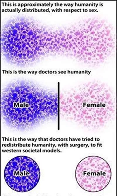 Geek Girls Human Biological Sex Distribution 👇👇👇 Facebook