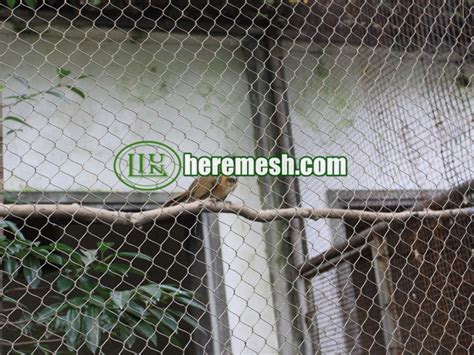 stainless steel aviary mesh netting and panels aviary mesh panels