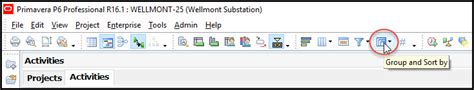 how to group and sort activities in primavera p6