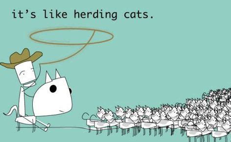 Discover 8 Herding Cats And Cat Safe Plants Ideas Serval Cats Cat