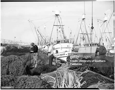 Barcott Photos And Premium High Res Pictures Getty Images