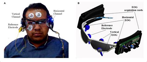 figure 3 from a custom eog based hmi using neural network modeling to