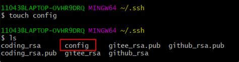 同一台机器配置多个ssh，同时绑定codinggithub和gitee Csdn博客