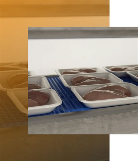 Sierra Processing Customized Processing And Value Add Services